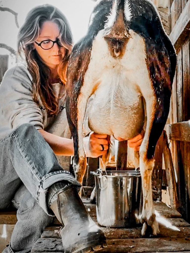 Beef Tallow Face Cream: The Ultimate Solution for Healthy Skin