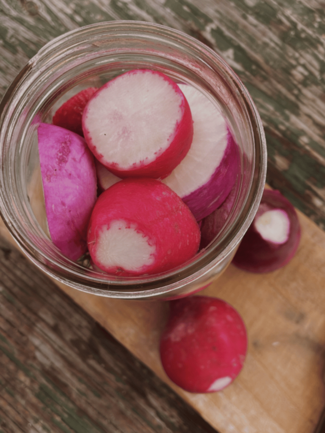 Quick and Easy Delicious Lacto Fermented (Pickled) Radish Recipe