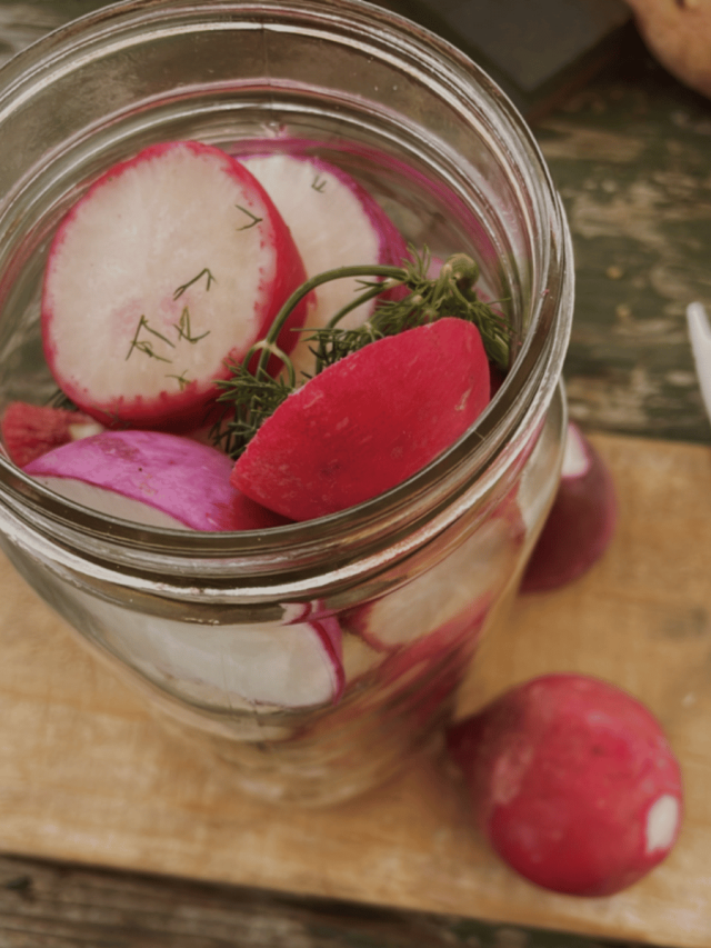 Quick and Easy Delicious Lacto Fermented (Pickled) Radish Recipe