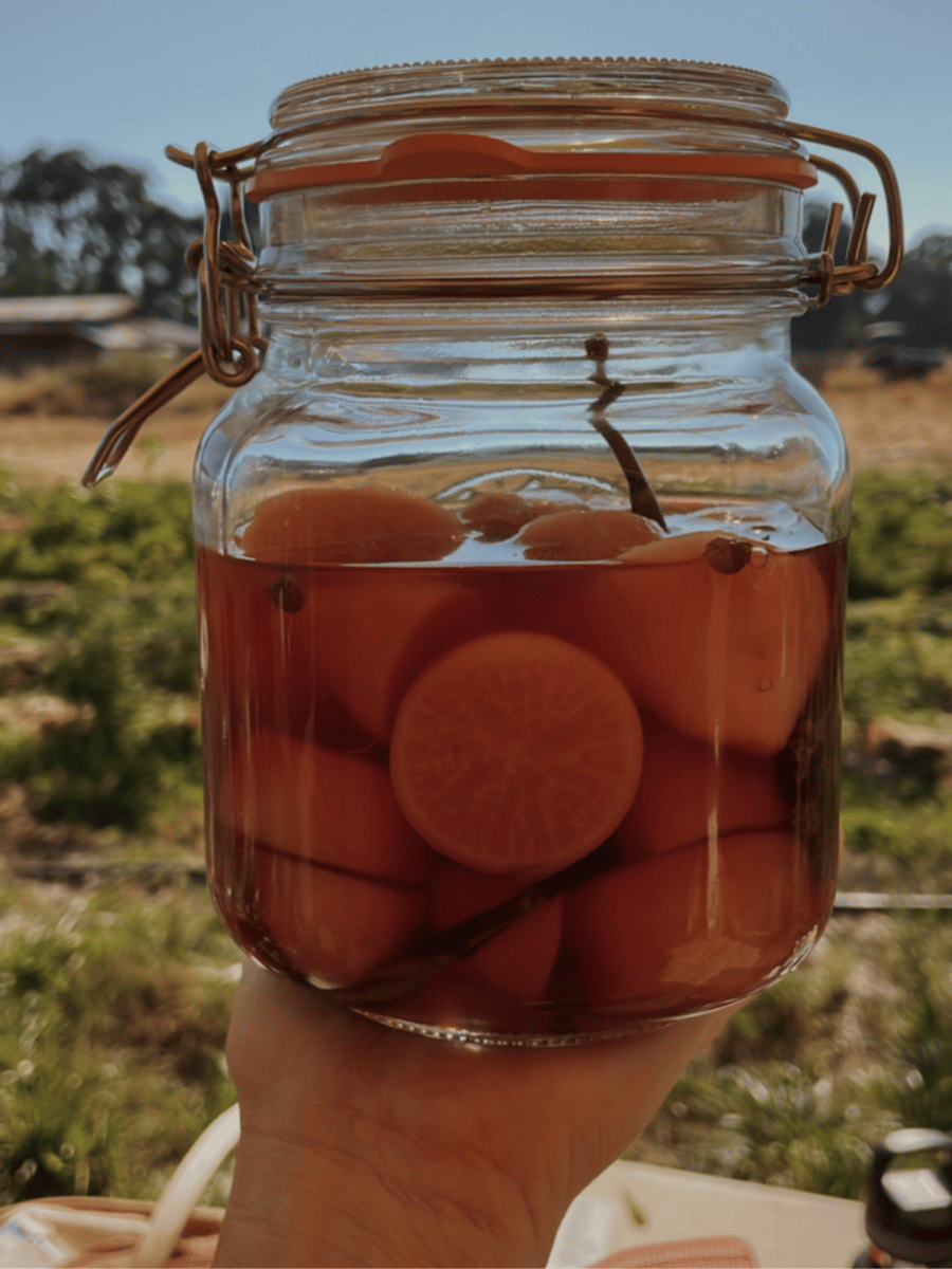 Quick and Easy Delicious Lacto Fermented (Pickled) Radish Recipe