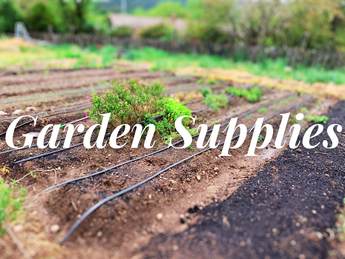 Quick and Easy Delicious Lacto Fermented (Pickled) Radish Recipe