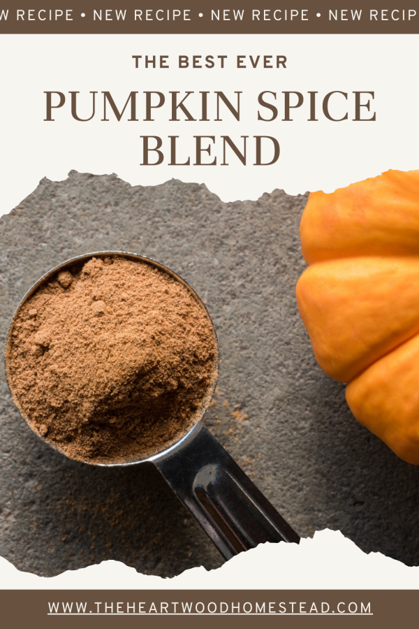 DIY Pumpkin Spice Blend: Make Your Own Easy Pumpkin Spice - The ...