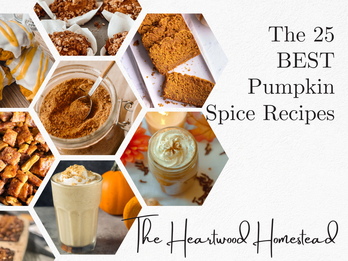 DIY Pumpkin Spice Blend: Make Your Own Easy Pumpkin Spice - The ...
