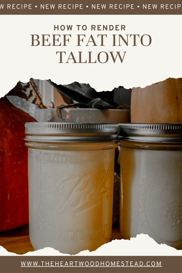 How to Render Beef Fat into Tallow - The Heartwood Homestead