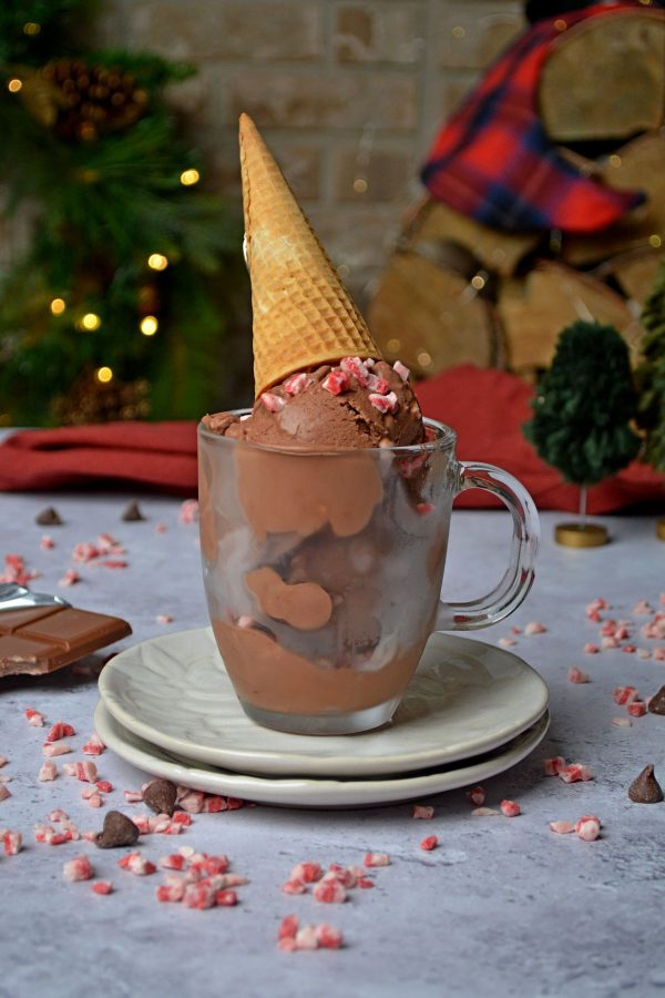 The 24 Best Christmas Ice Cream Recipes You'll Love