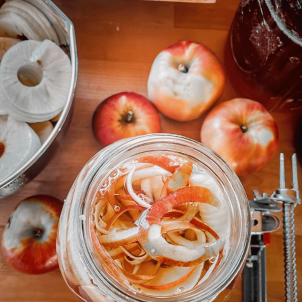 Jun Tea Recipe: Like Kombucha, But Better - The Heartwood Homestead