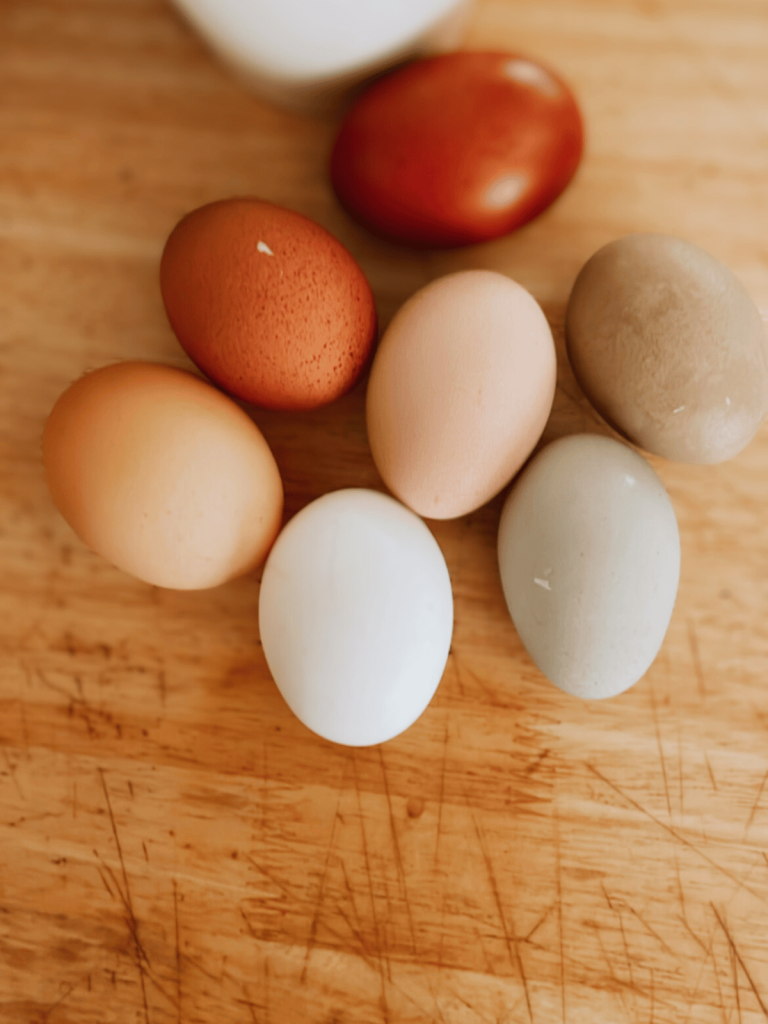 Why Do Chickens Lay Small Eggs? A Complete Guide - The Heartwood Homestead