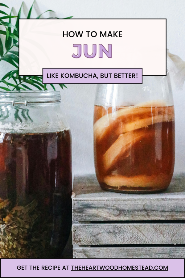 Jun Tea Recipe: Like Kombucha, But Better - The Heartwood Homestead