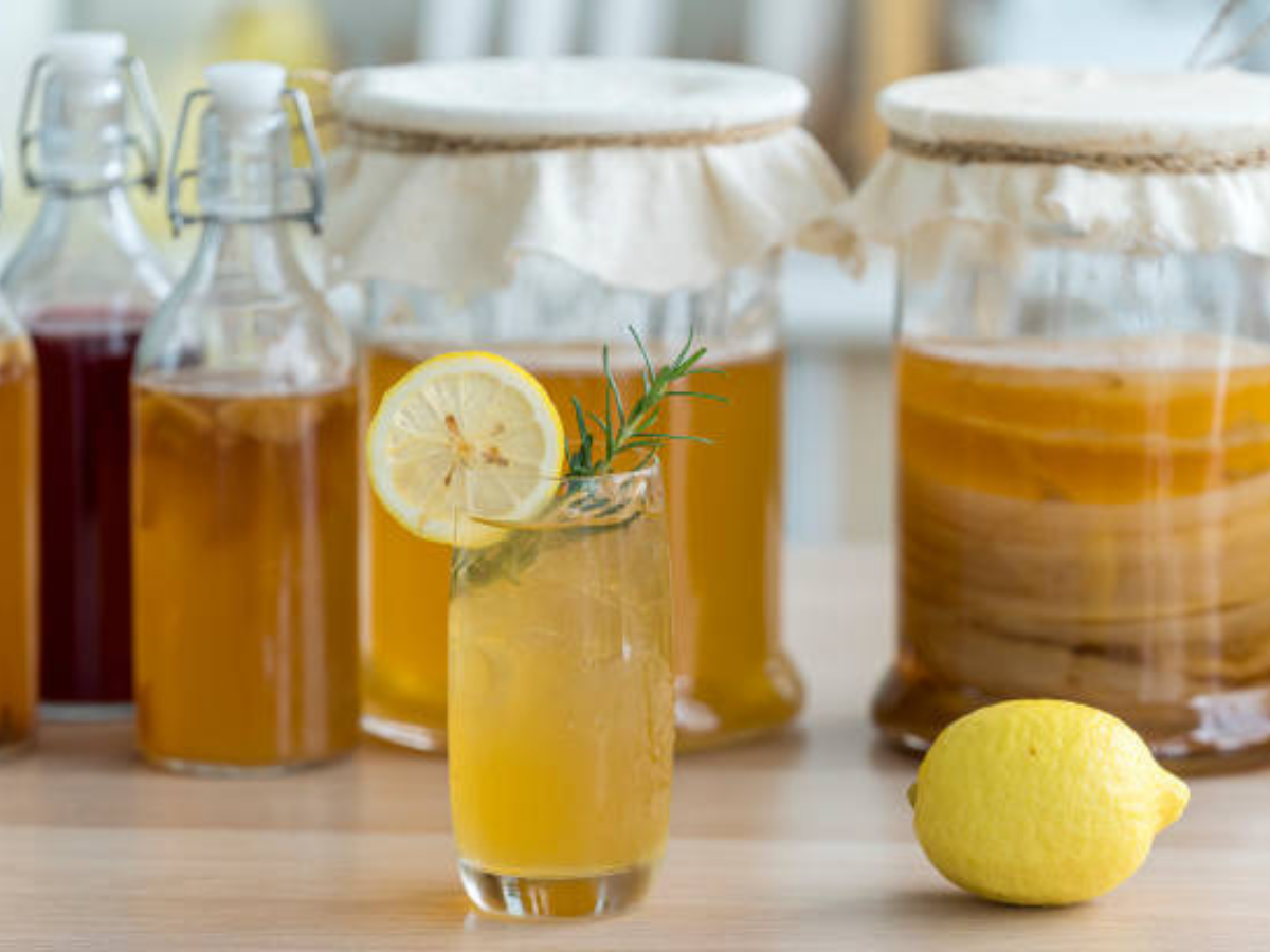 Jun Tea Recipe: Like Kombucha, But Better - The Heartwood Homestead